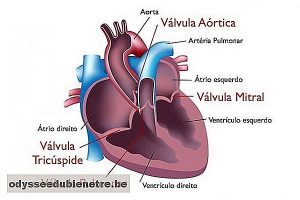 INTERVENCIONES - ASISTENCIA CARDIOLÓGICA DR. CASTRO